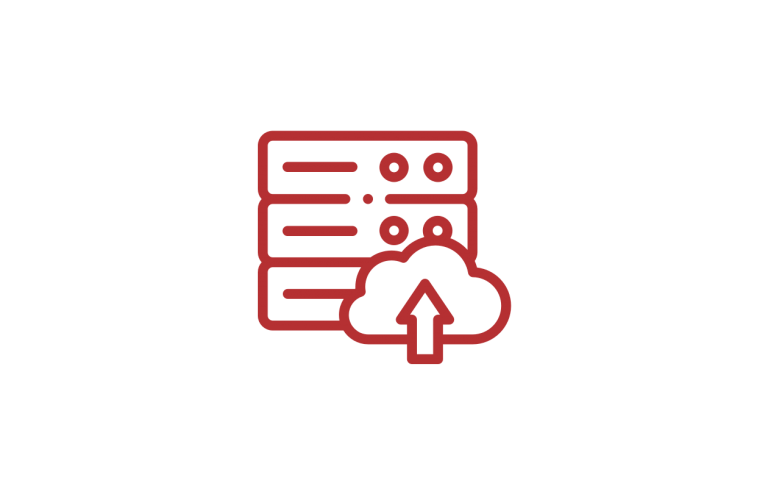 Backup and Recovery Management - Local Technology
